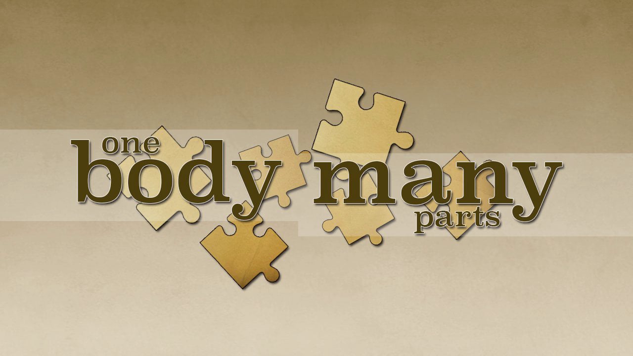 What Part Of The Body Of The Church Is A Child With Additional Needs ...