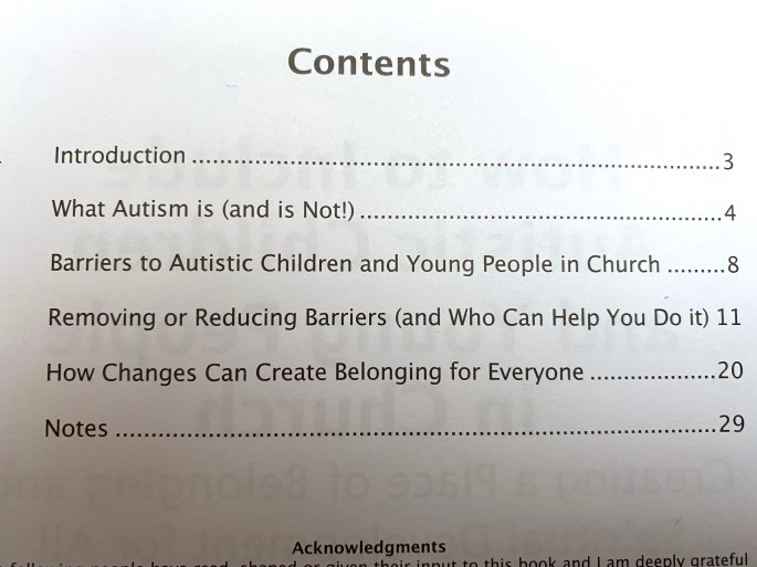 My New Book: ‘How To Include Autistic Children And Young People in ...