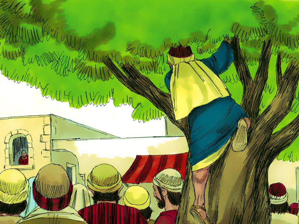 Was Zacchaeus Disabled? And What Can We Learn From Him? – The ...